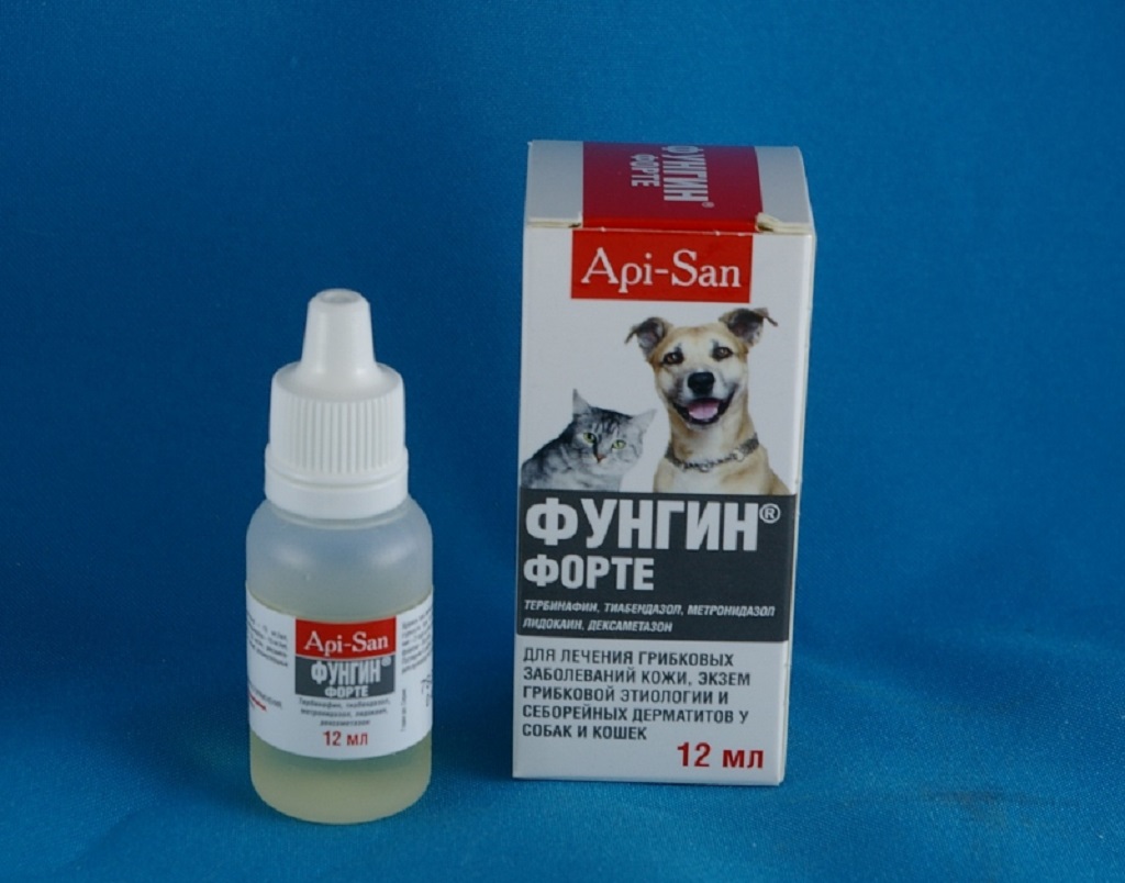 Фунгин: інструкція із застосування спрею для кішок, протипоказання ...