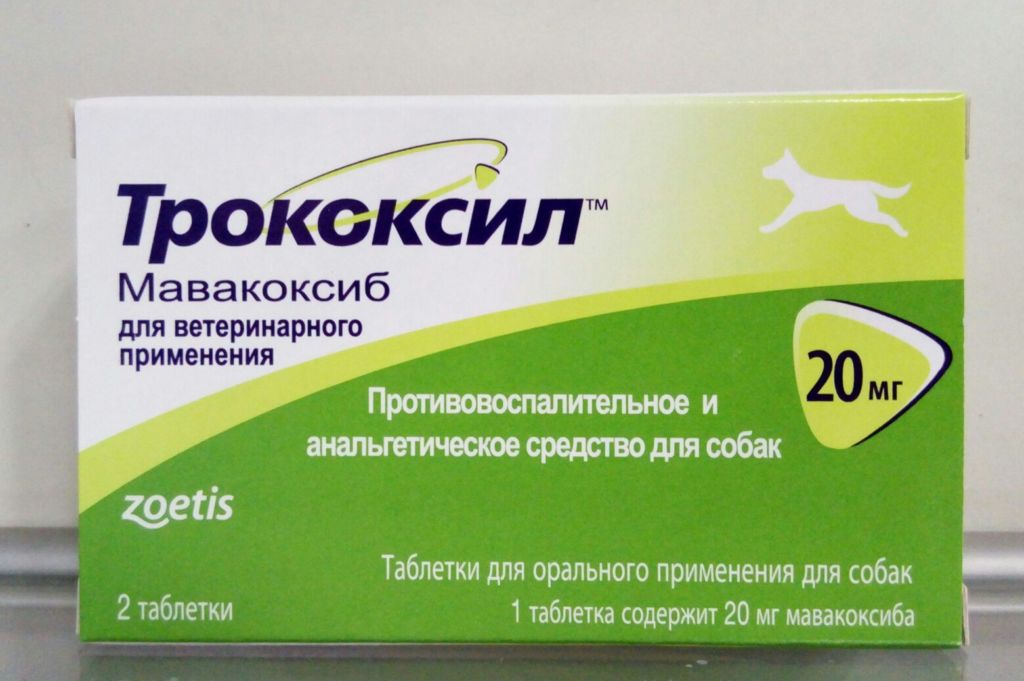 Трококсил для собак: інструкція із застосування, протипоказання і ...